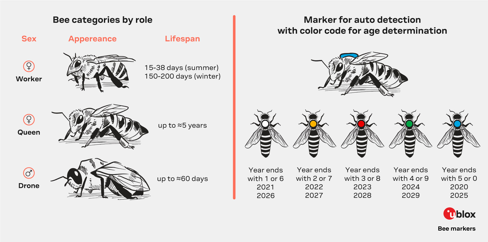 Without bees, there is no be | u-blox