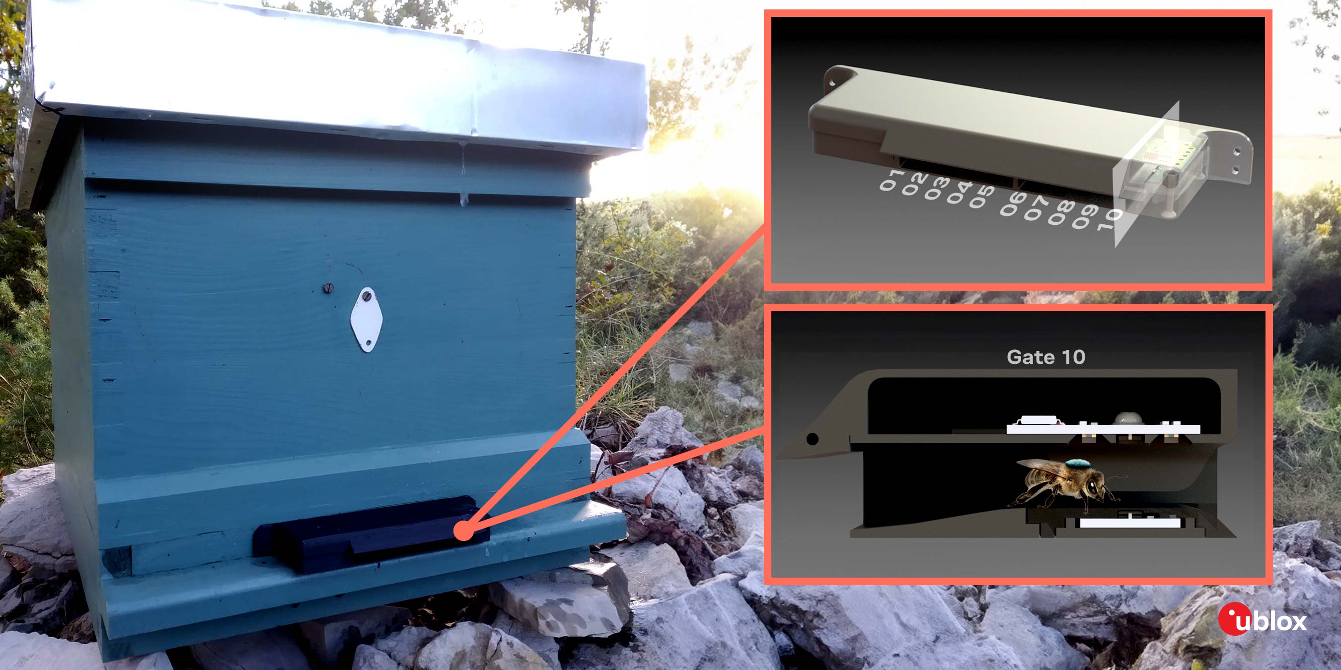 Without bees, there is no be | u-blox